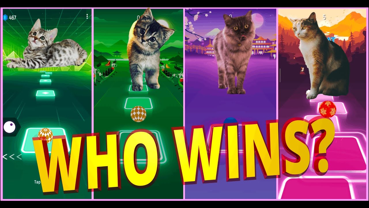 OK KITTY CUTE CATS | Tiles Hop – Kitten competition | Funniest Animals ...