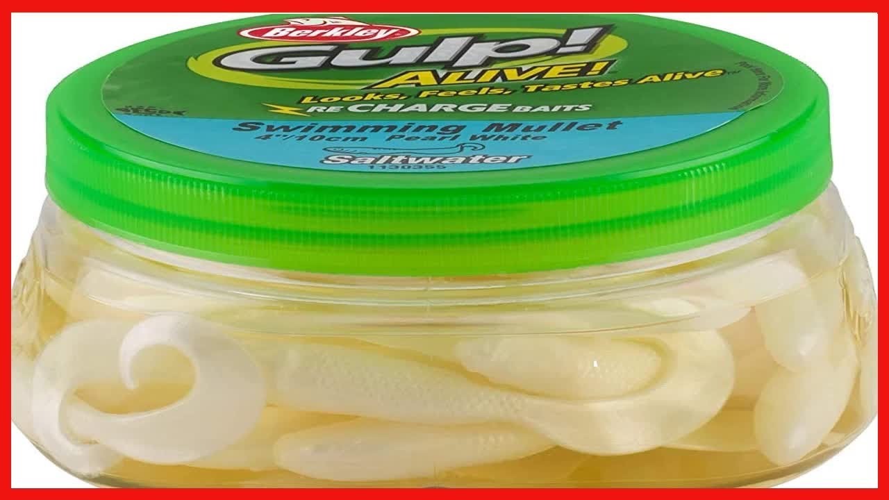 Berkley Gulp! Alive! Swimming Mullet Soft Fishing Bait, Pearl White ...