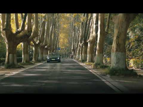 #music #nature #relaxing #travel #trending #viral #explore #tiktok #shorts #shortvideo #travel #love
