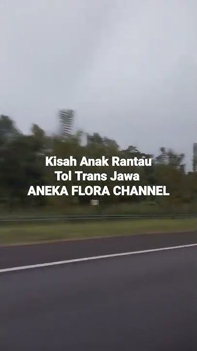 ANEKA FLORA CHANNEL Bantu Subscribe Like Loncengnya - YouTube