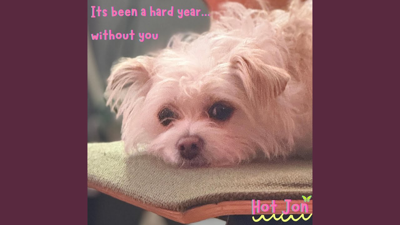 Its been a hard year without you. - YouTube
