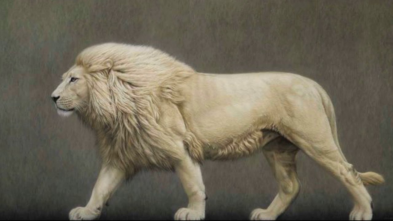 When The Lion Awakens - YouTube