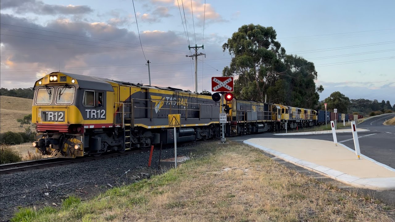 TasRail TR12 TR10 2054 2051 #33 train crossing Opossum Road - YouTube