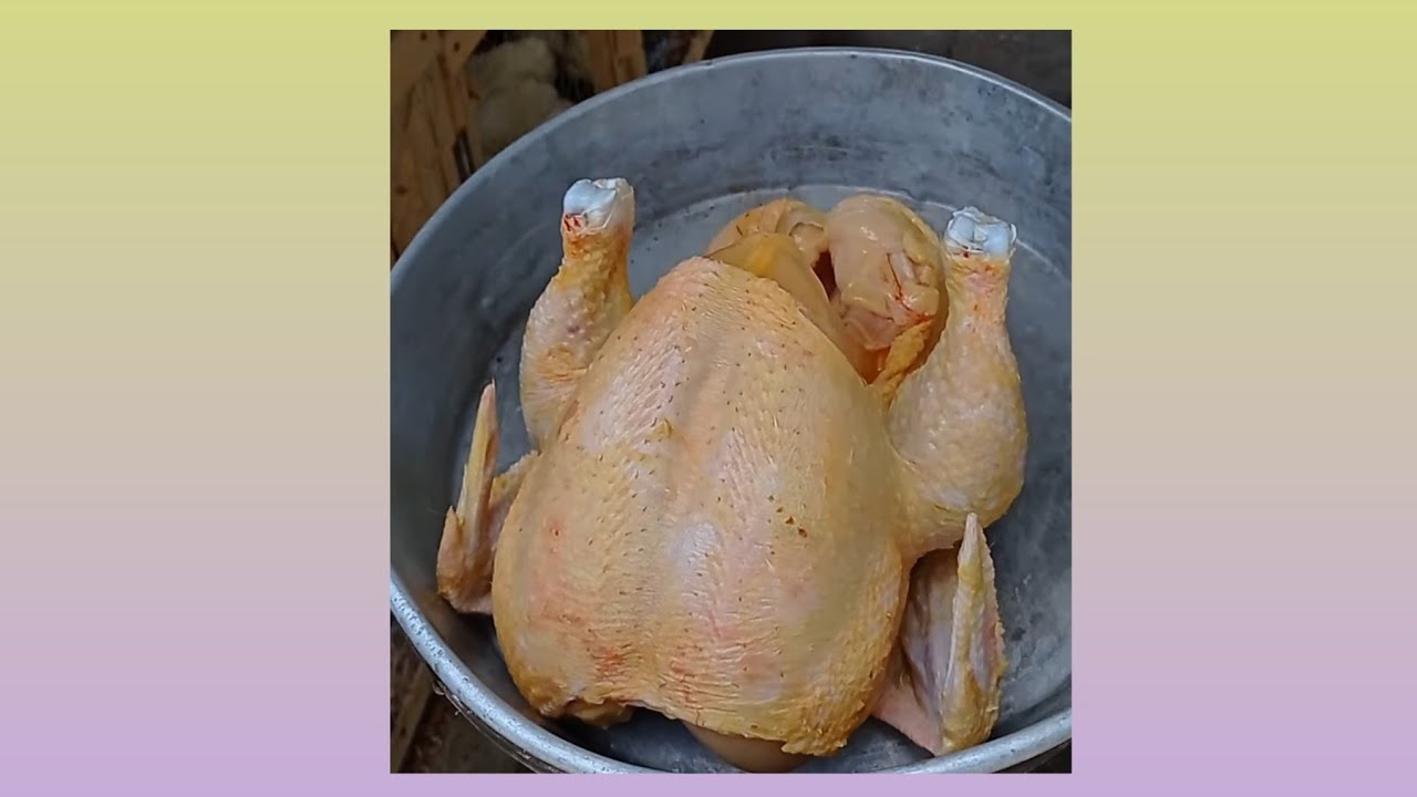 ¿Cuánto pesa un pollo destazado de 6 semanas?, desperdicio al destace ...