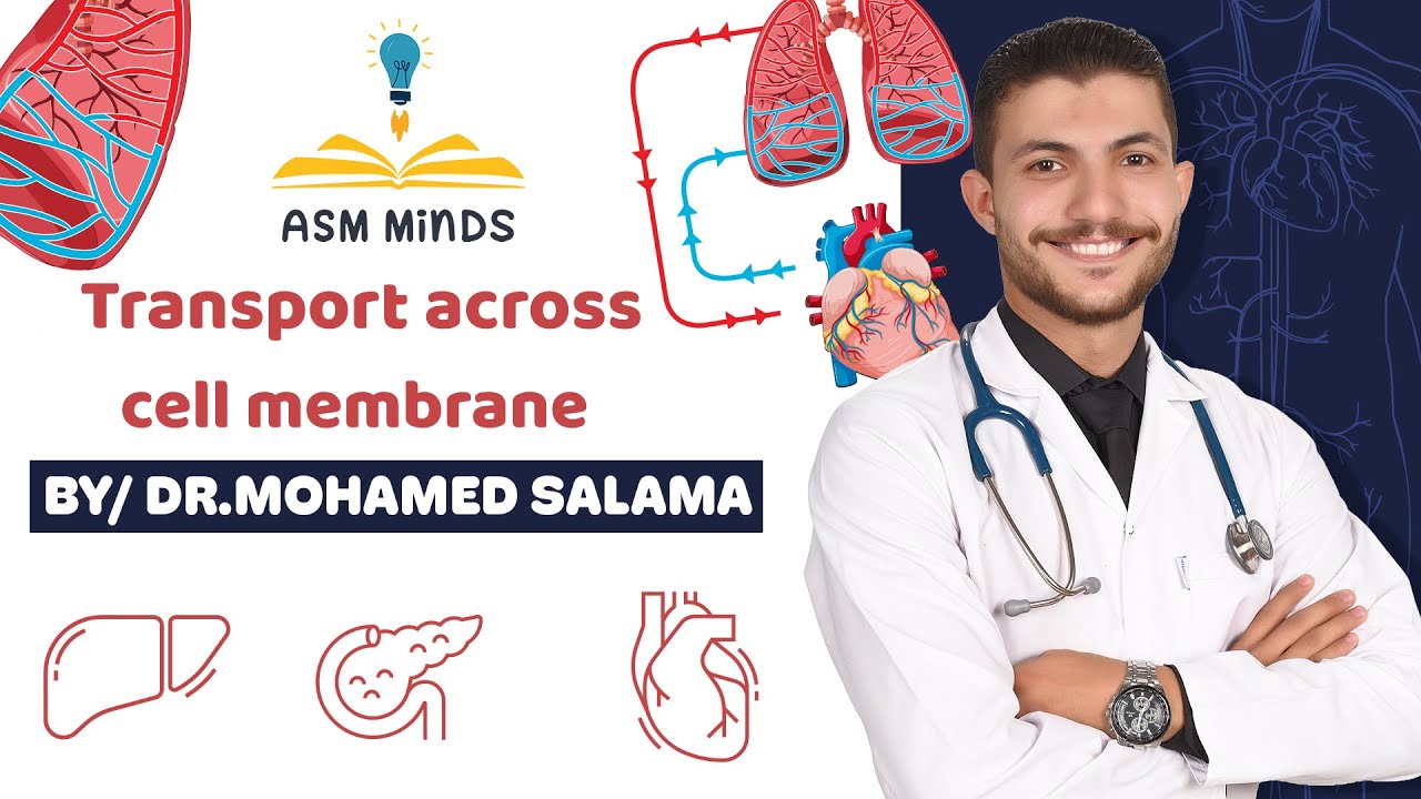 2-Physiology - Transport across cell membrane - Dr.Mohamed Salama - YouTube