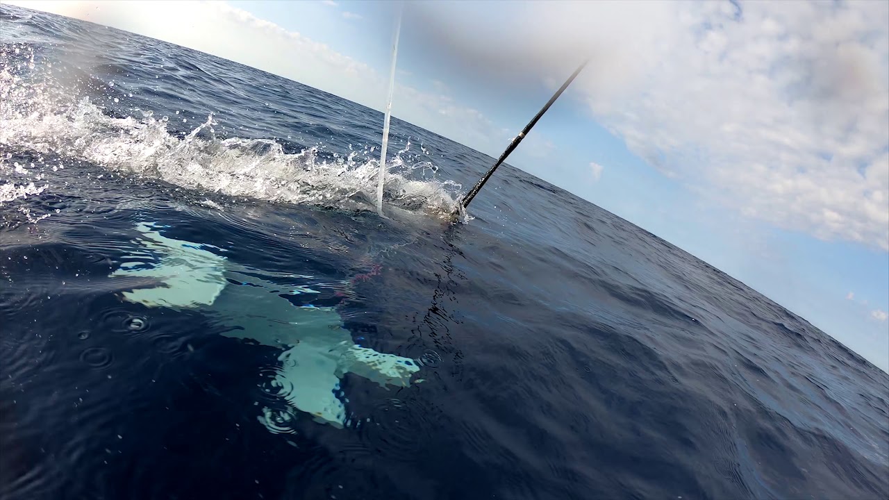 Underwater footage of "the Fish" in action - YouTube