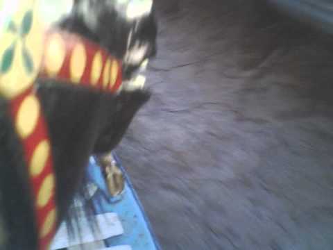 Bickleton Carousel (On Ride) - YouTube