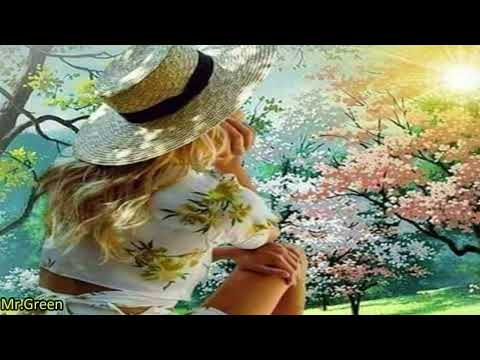 Mr.Green - Od svih volih samo Tebe
