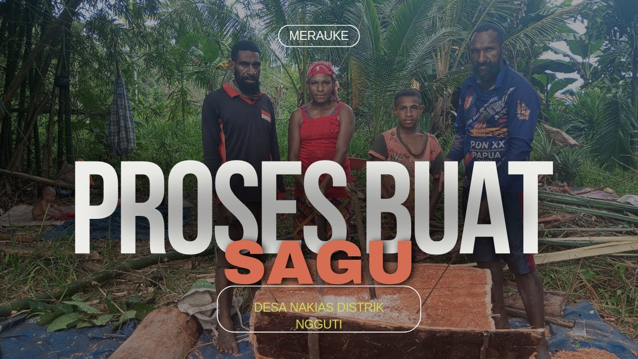 BEGINI PROSES PENGOLAHAN SAGU@Enkistifaona #pedalamanpapua #papua # ...