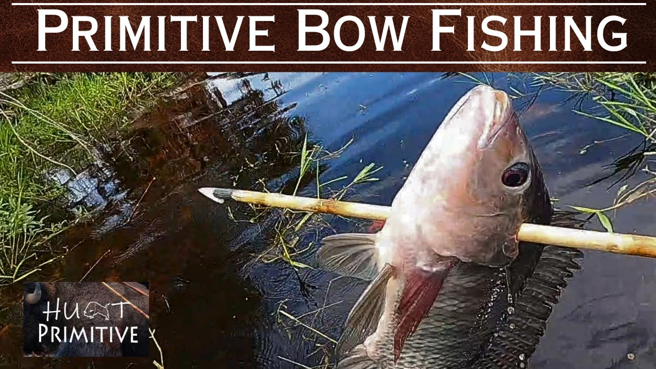 Primitive Bow Fishing Tilapia - YouTube