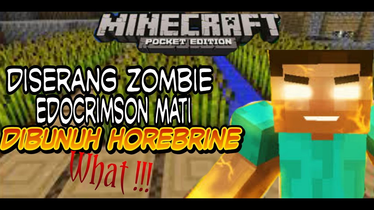 MINECRAFT PE SURVIVAL - DISERANG ZOMBIE EDO CRIMSON MATI DIBUNUH OLEH ...
