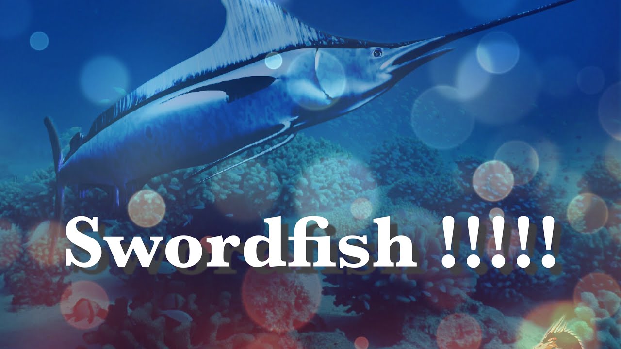 Swordfish !!!!! - Call Of Duty Black Ops 4 Reloaded - Multiplayer ...