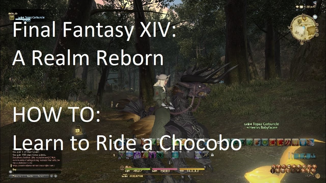 Final Fantasy XIV: How to Learn to Ride a Chocobo (And Equip Armour ...