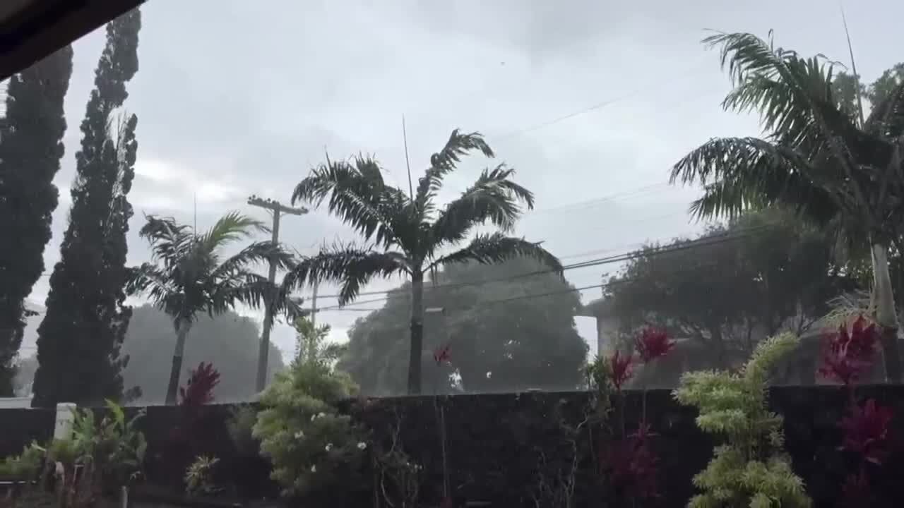 Rain in Manoa with flash flood warning in effect - YouTube