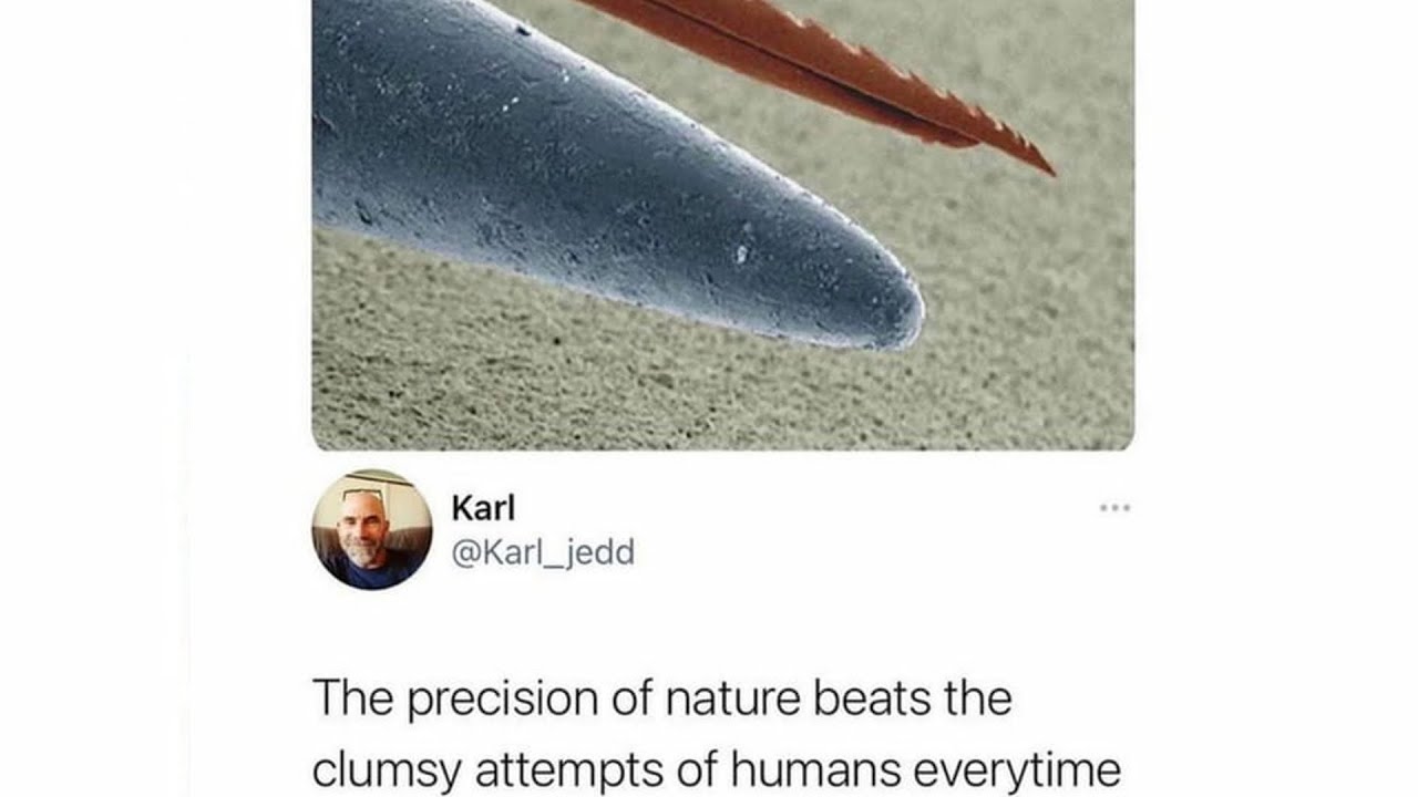 The Precision of Nature Beats the Clumsy Attempts of Humans Everytime ...