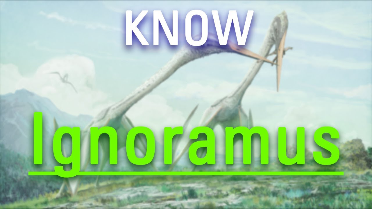 How Does Ignoramus Look? | How to Say Ignoramus in English? | What is ...