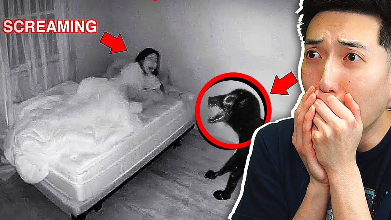 SOMETHING IS WRONG WITH HER DOG YouTube something-is-wrong-with-her-dog-youtube