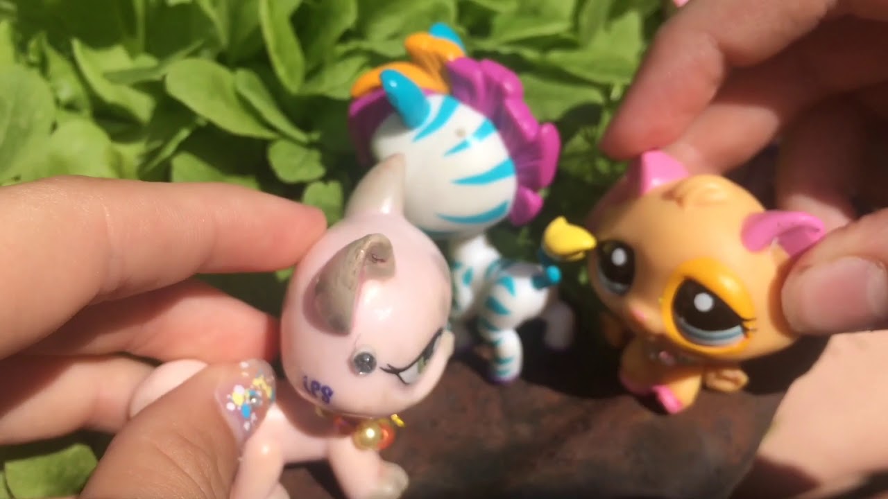 Metsikus looduses #1 - YouTube