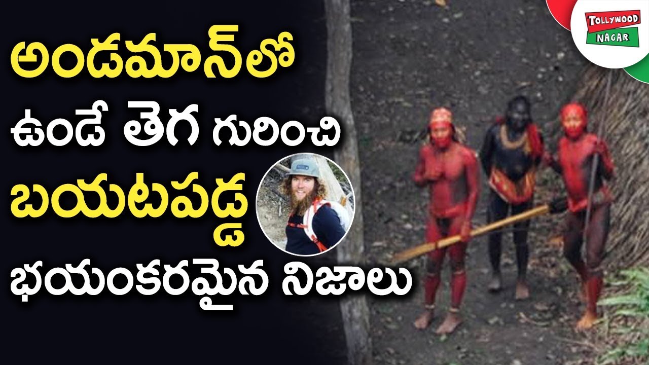 Unknown And Interesting Facts About Sentinelese Tribes | Meet The ...