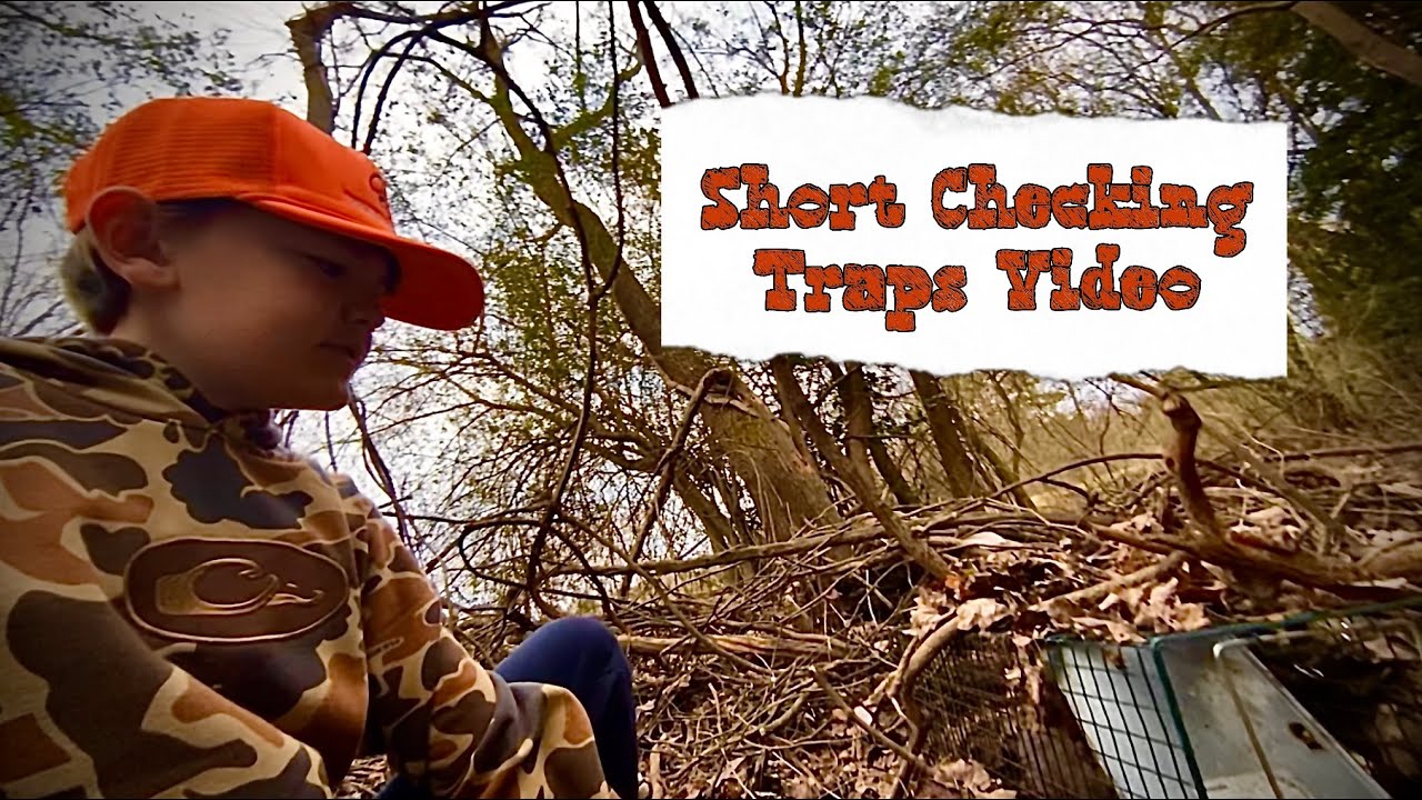 Short Checking Traps Video! Ep.11 - YouTube