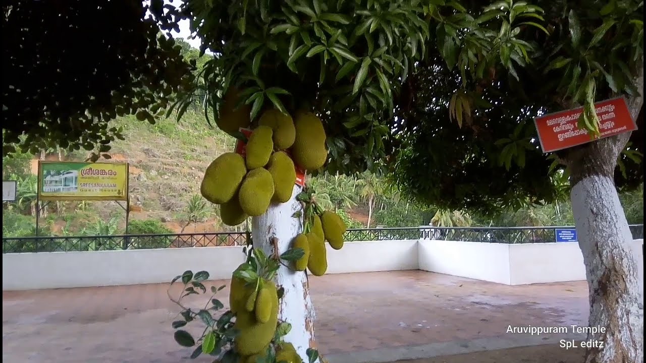 Aruvippuram Temple I Thiruvananthapuram I Kerala I India - YouTube