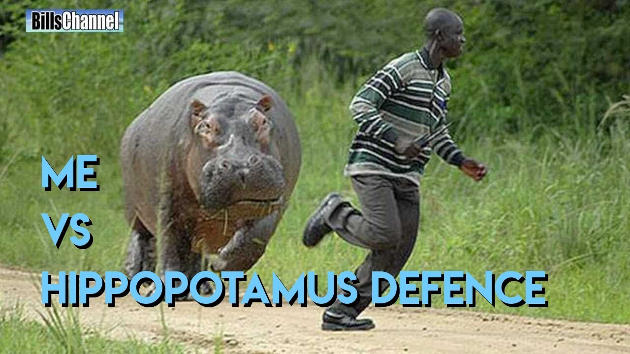 [Chess] Me vs Hippopotamus Defence - YouTube