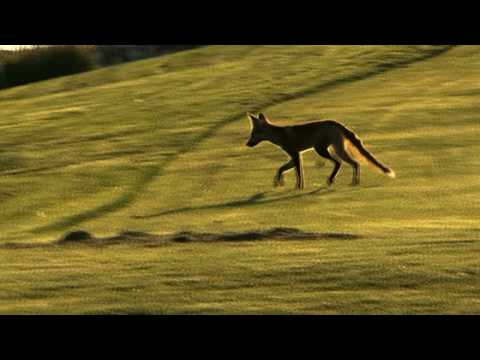 The Links at Sleepy Ridge | Explore Utah Valley - YouTube