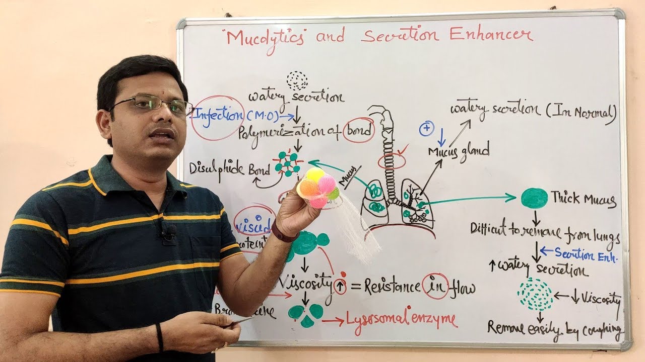 Expectorants & Antitussive (Part-05) Mucolytic | Microkinetic ...