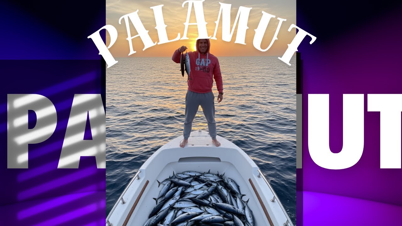 PALAMUT BALIĞI YAKALAMA #fishing #palamut #fishing #fish #balık # ...