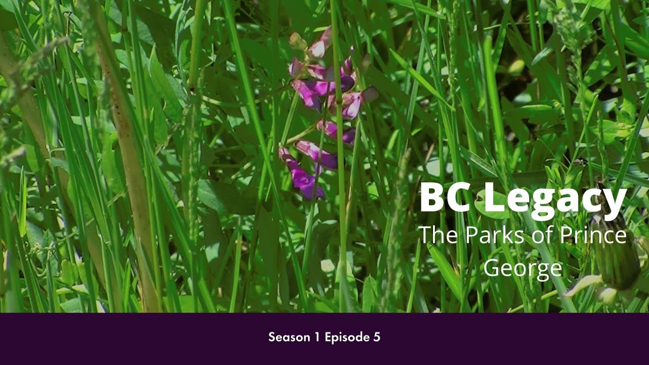 BC Legacy: The Parks of Prince George I S1 EP 5 - YouTube