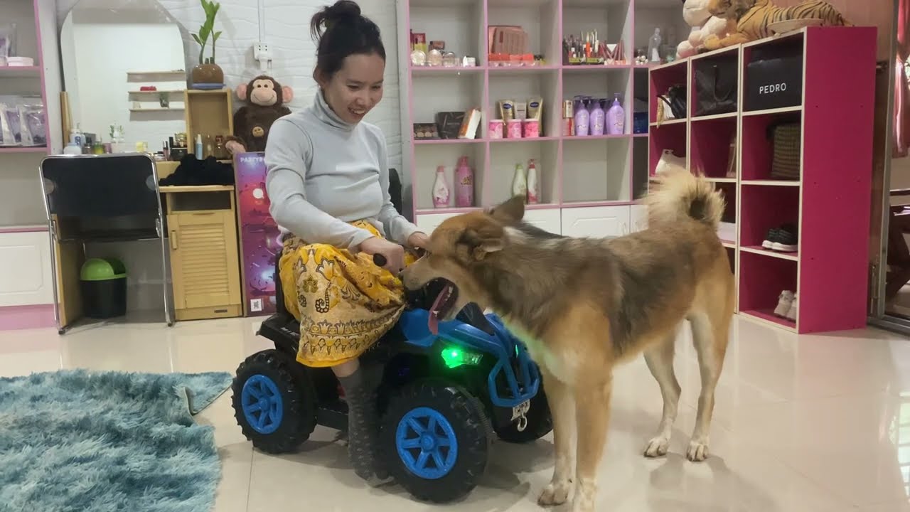 Oh Wow! KOKO request to ride Off-road car with Davann - YouTube