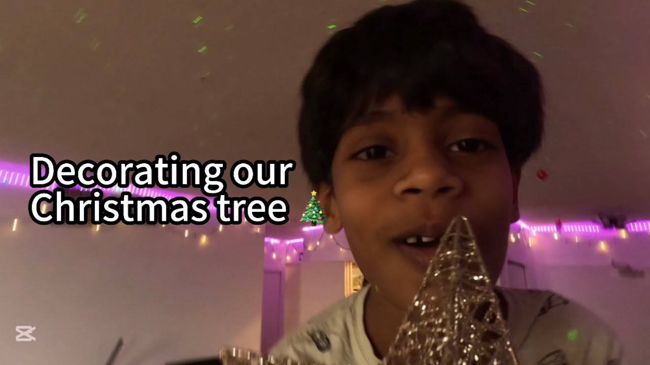 Decorating our Christmas tree 🎄 - YouTube