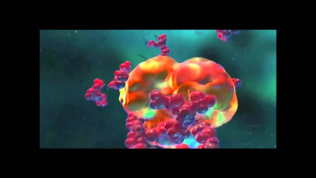 FilmArray System Demo, BioFire Defense - YouTube