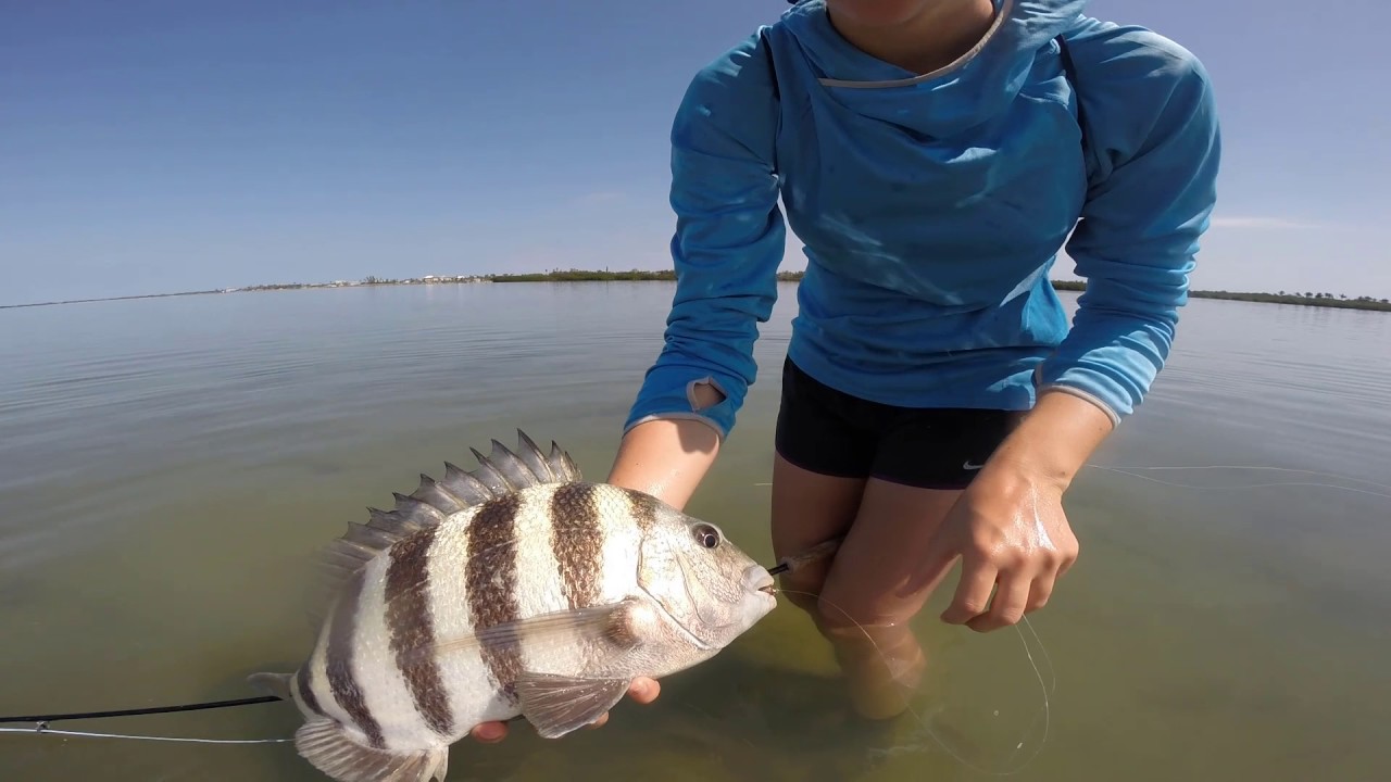 Sheepshead on the fly - YouTube