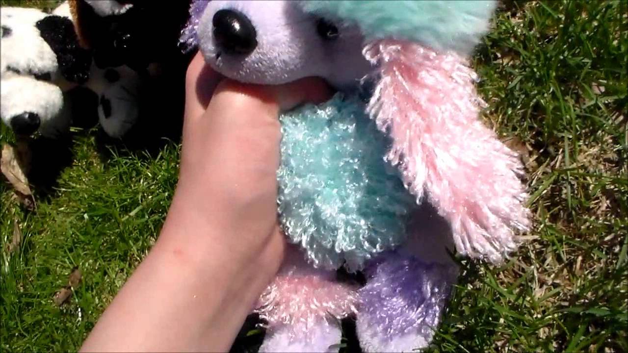 All of my Webkinz Dogs as of May 2013 - YouTube