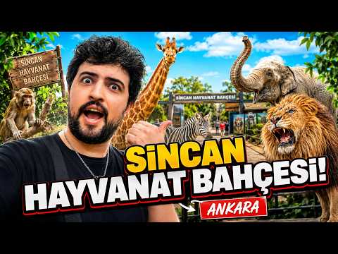 SİNCAN HAYVANAT BAHÇESİNİ GEZDİM! | ANKARA’DA BÖYLE BİR YER VARMIŞ!