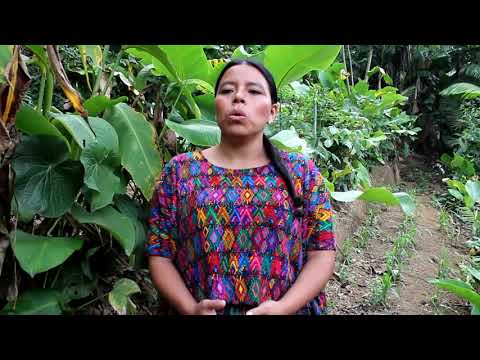 Maak’aaq li rahob’tesiik sa’ li qayu’am lao li ixq! - CECI Q´eqchi´ 08 05 2020