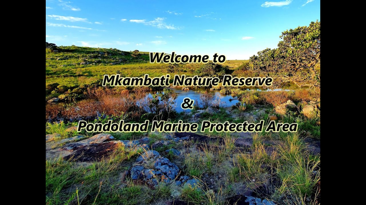 Mkambati Nature Reserve - YouTube