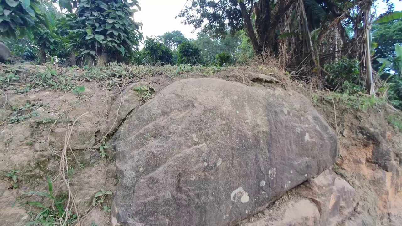 Solos em campo - Neossolo Litólico e distribuição de solos na paisagem ...