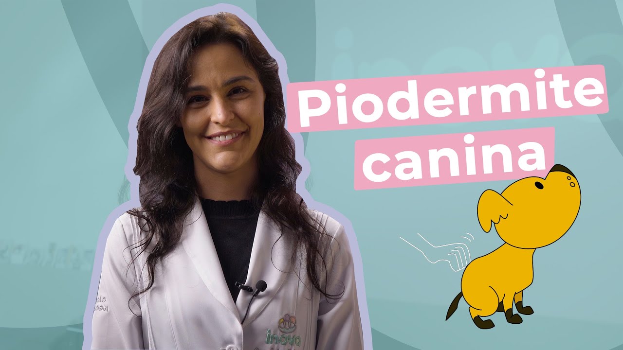 Piodermite Canina | Inova Hospital Veterinário - YouTube
