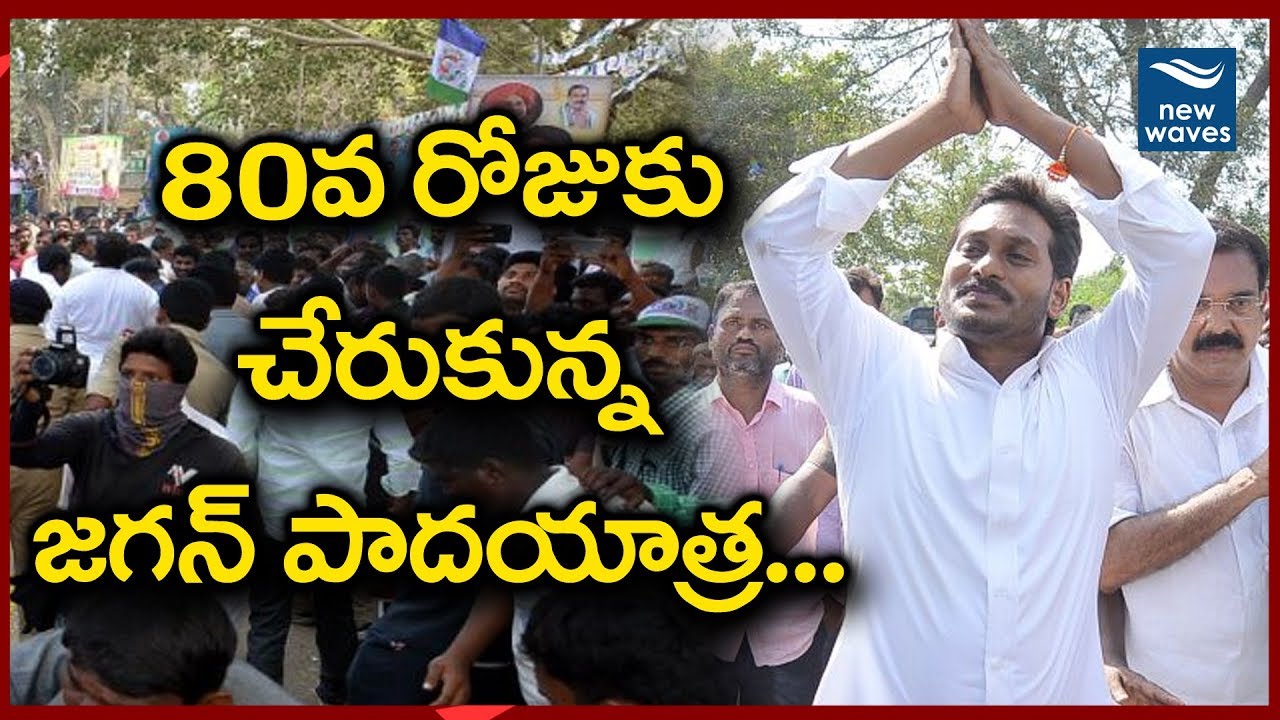 YS Jagan Praja Sankalpa Yatra | 80th Day Padayatra Schedule | New Waves ...