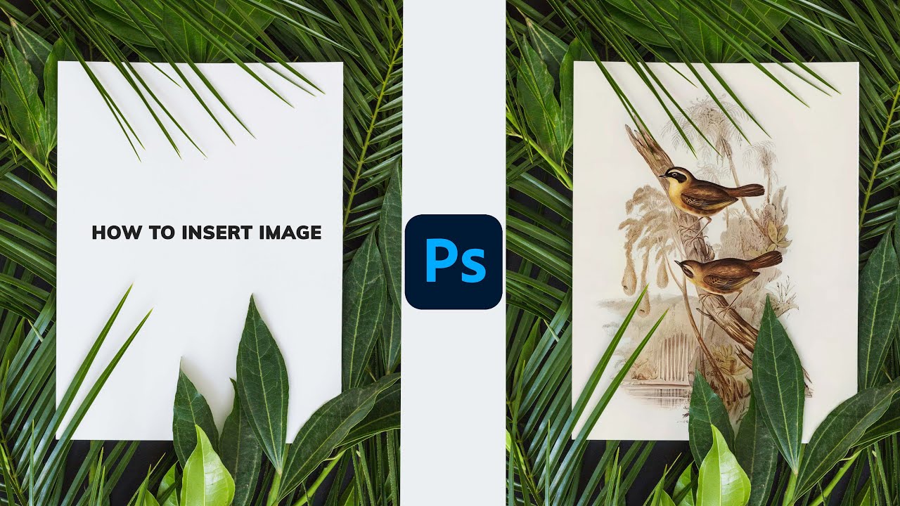 How To Insert An Image Into Another Image Like Any Frame In Photoshop how-to-insert-an-image-into-another-image-like-any-frame-in-photoshop