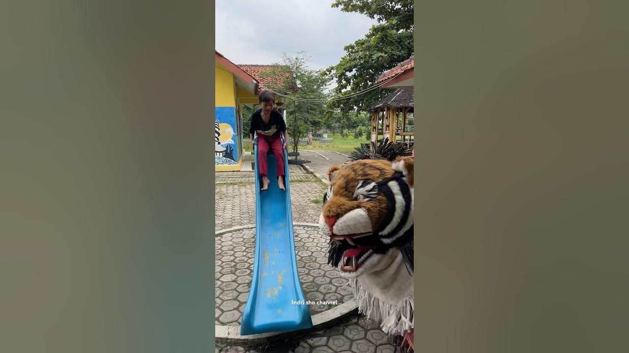 Lagi asik mainan di taman eh ada can macanan - YouTube