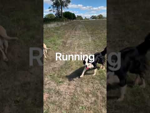 Jenny's home activities