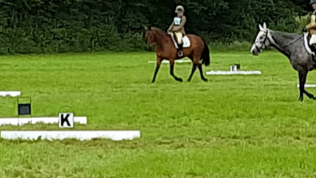 Schmaul BE NOVICE WW - YouTube