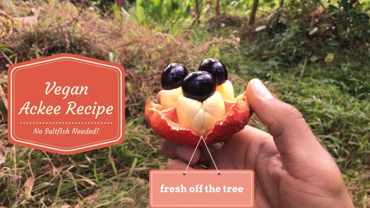 WHAT I ATE IN ST. LUCIA // Vegan Curried Ackee // Ital Alkaline ...