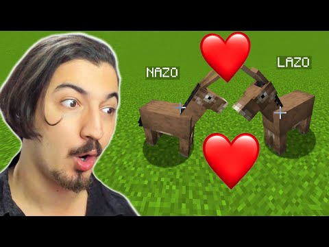 EŞEK AİLESİ 🥰 LAZO VE NAZO AŞKI ! MİNECRAFT 8.Bölüm