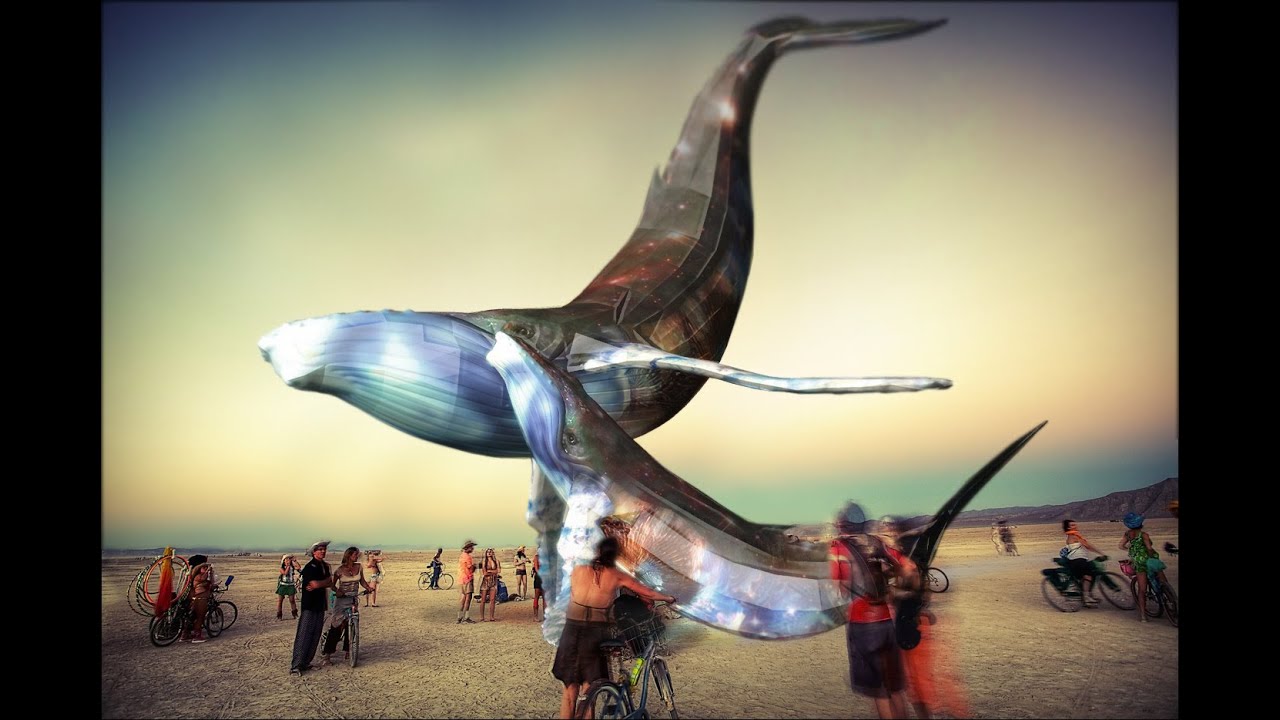 Space Whale Real Life