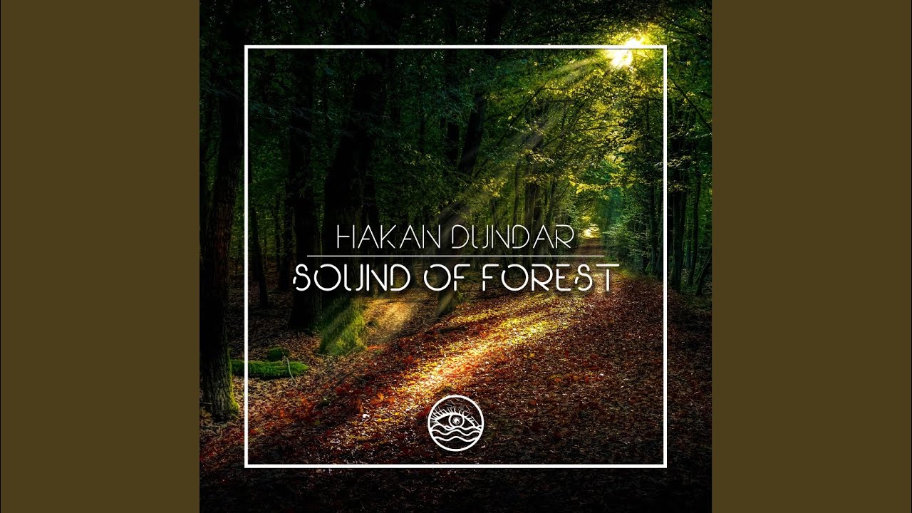 Sound Of Forest (Original Mix) - YouTube