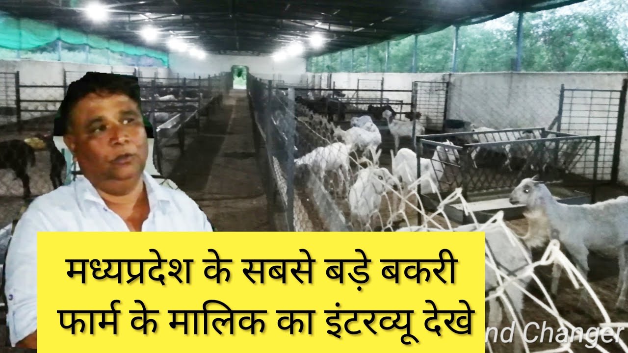 Interview of The Nimar Goat Farm owner | Gujri | M.P. - YouTube